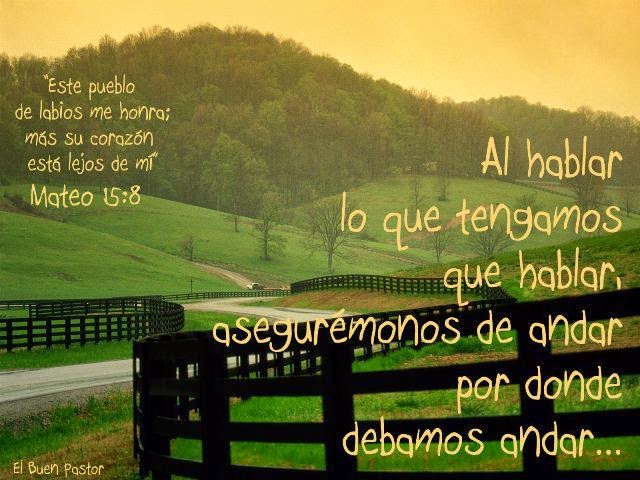 Leamos la Biblia en 1 Año: 1° Lectura Mateo 15:1-20