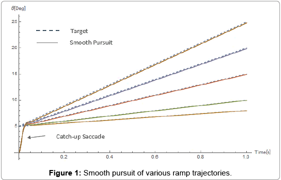 Journal and Conferences on Biomedical Engineering: Linear Quadratic ...
