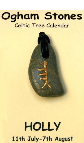 Uisce in Dingle: Other craft