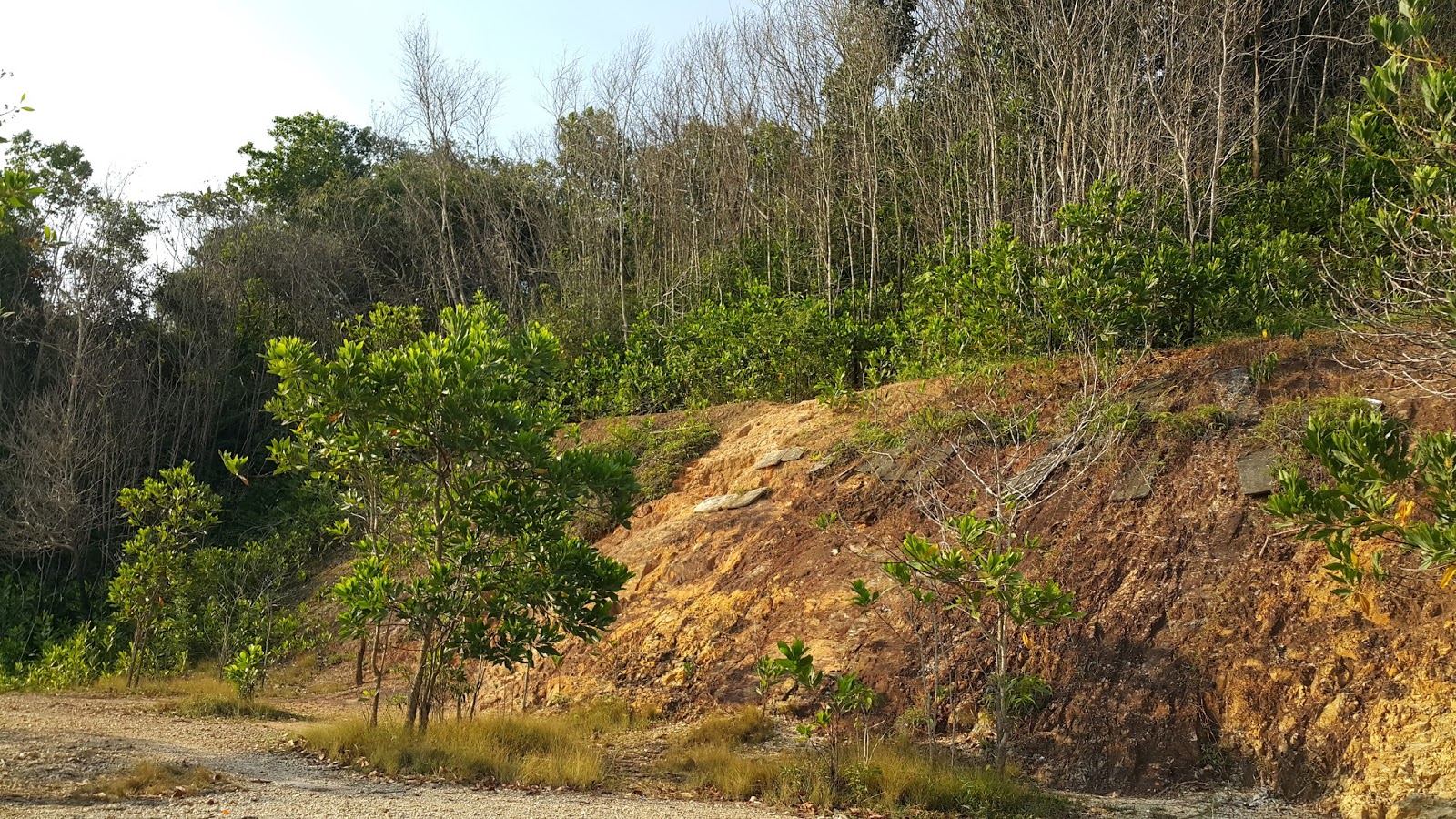Sungai Siput Boy: HIKING : BUKIT BERUANG MELAKA @ BEAR HILL MELAKA
