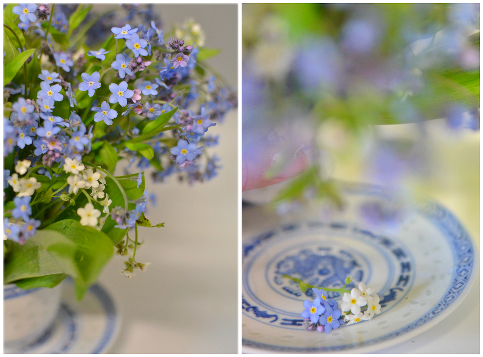 My Romantic Dream: Õrnade meelespea-piibelehe õitega valge romantiline ...