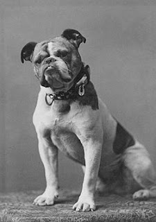 Famous Dogs in History: Handsome Dan: Yale's Famous Mascot