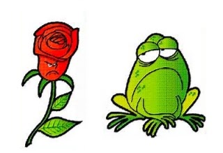 Como la vida misma: 4.-La rosa y el sapo.