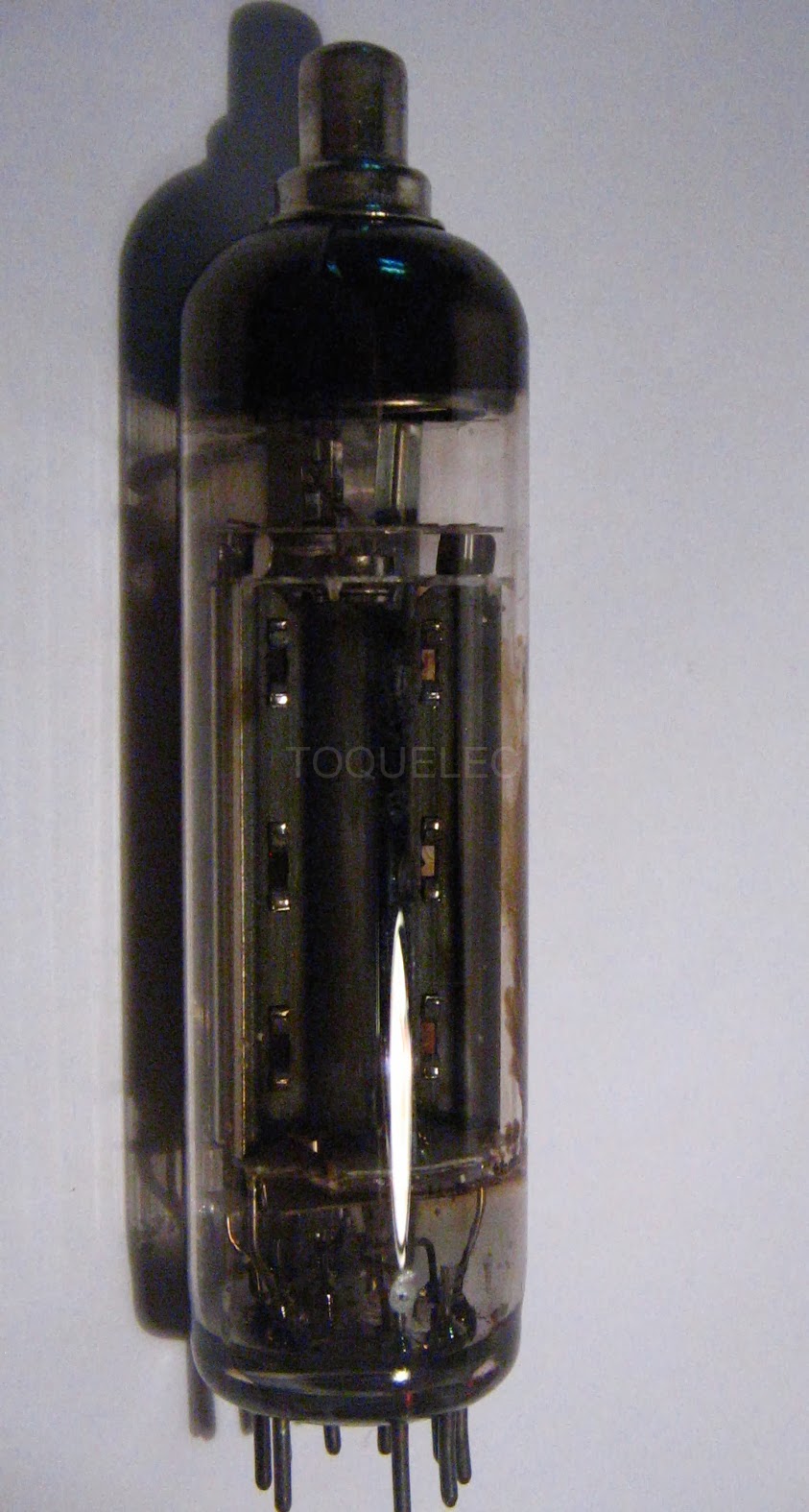 La ciencia de Toquelec: 2013