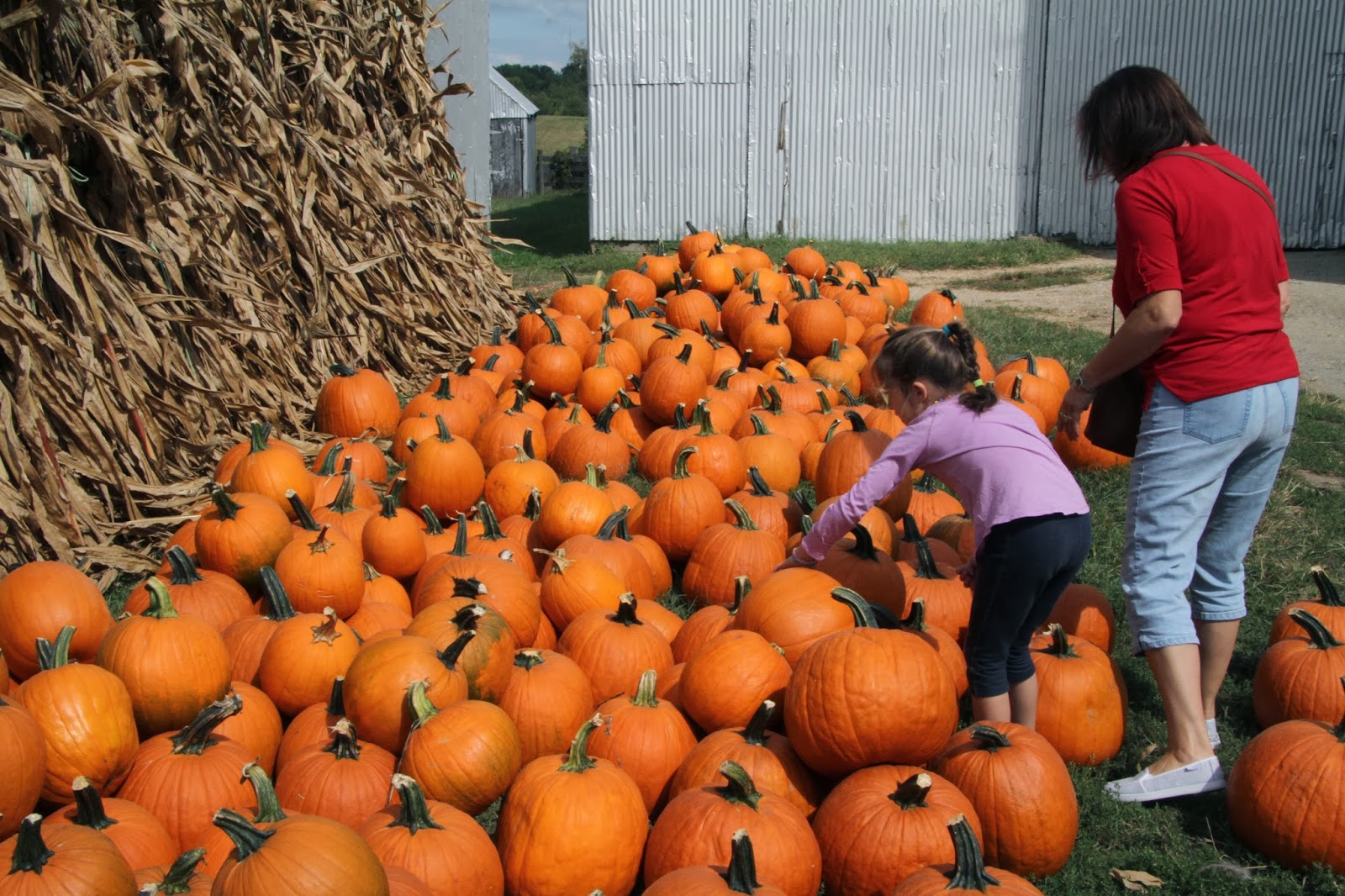 la famiglia: A trip to the Maryland Pumpkin Patch