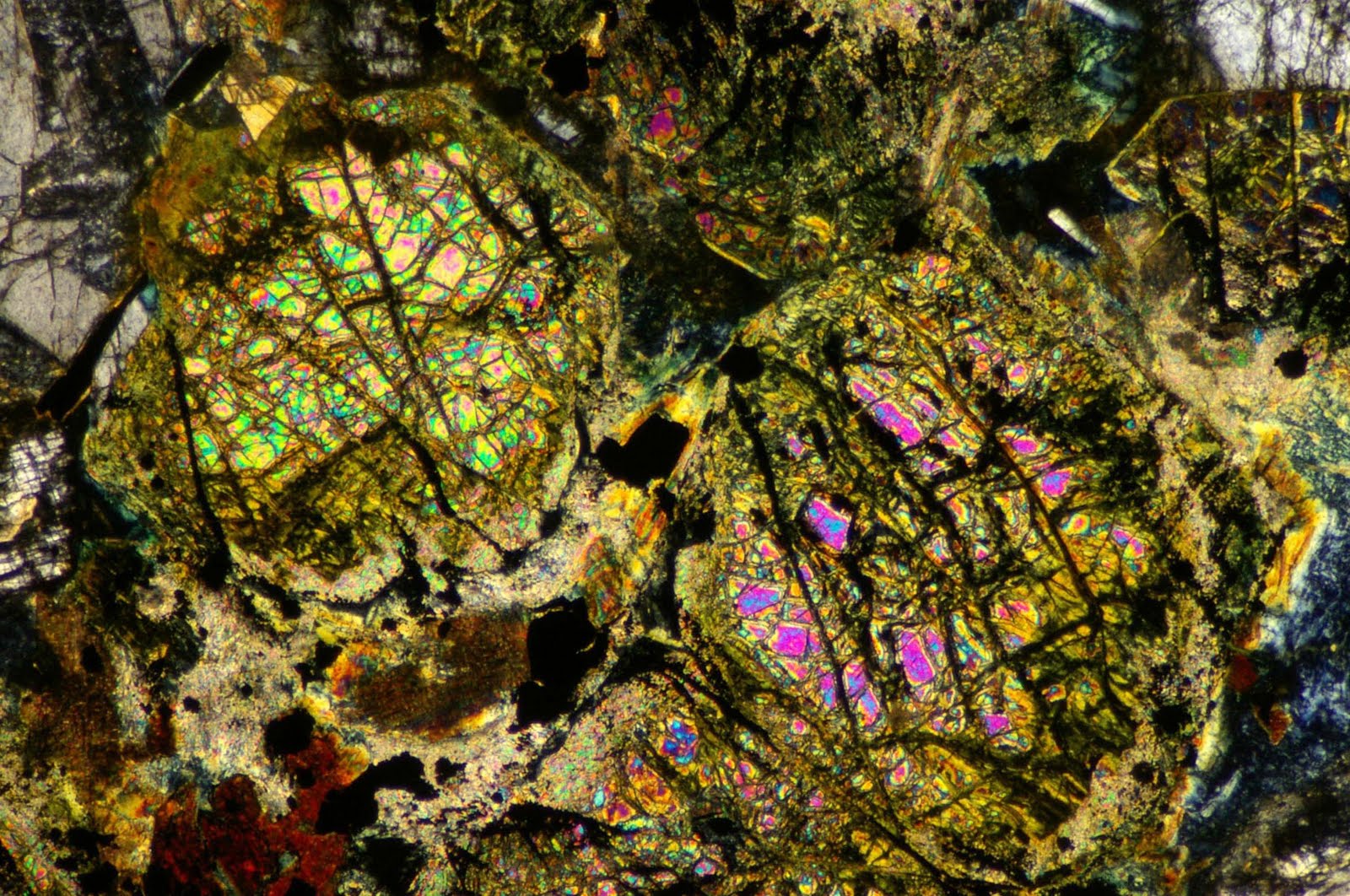 Peridotites: Yellow Dog peridotite (plagioclase-bearing lherzolite)