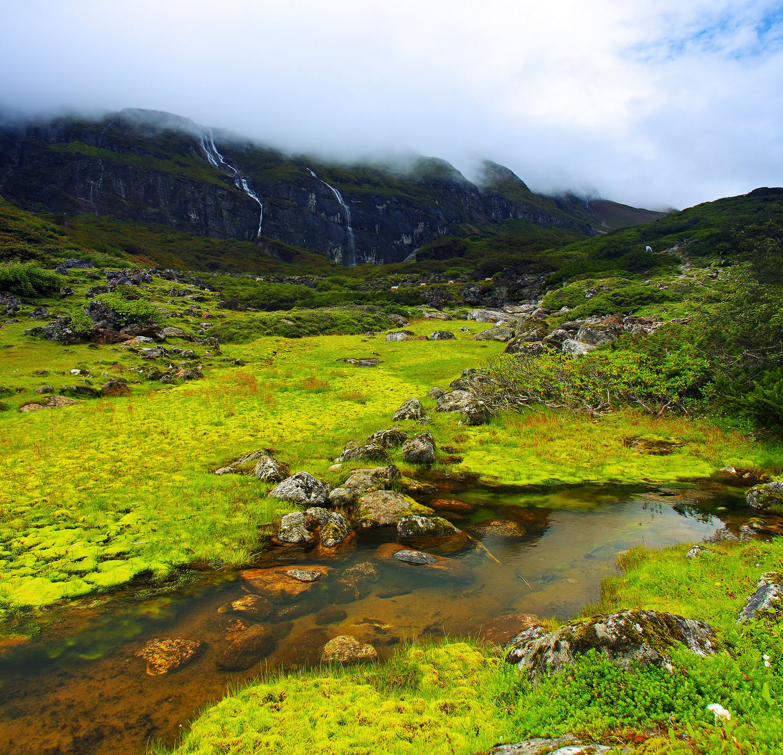 Makalu - Barun Valley The National Park Of Makalu ~ Great Mountain