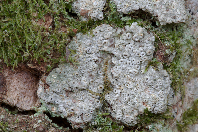 8th Colour Landscape Photography: December 2017