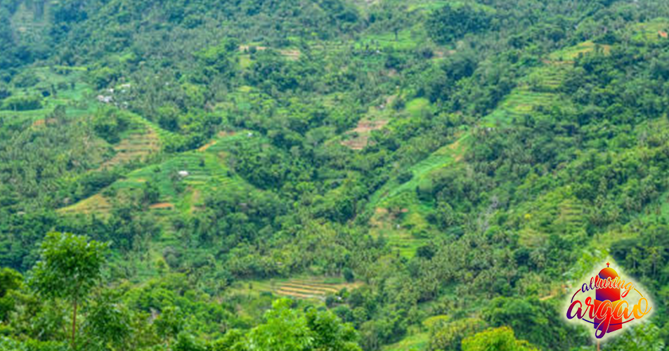 Barangay Facts of Argao, Cebu