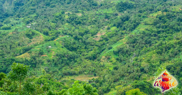 Barangay Facts of Argao, Cebu