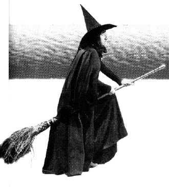 ...che mondo buCANEve...!: Il Veneto e le streghe