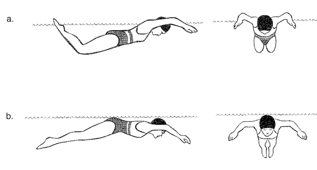 Natacion y sus estilos: ESTILO MARIPOSA