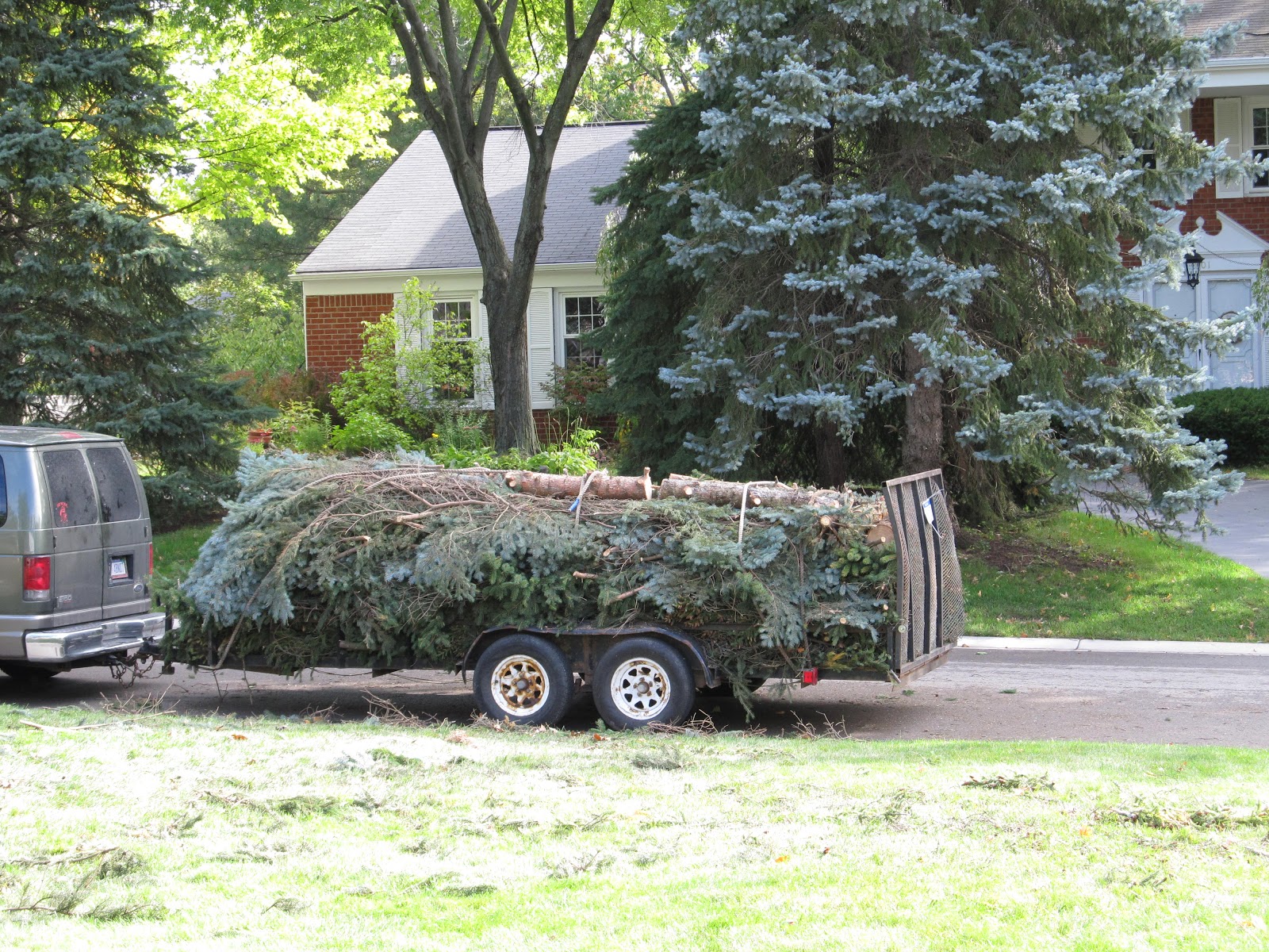 Designing Dreams on a Dime: Dream Driveway and Luxurious Landscaping