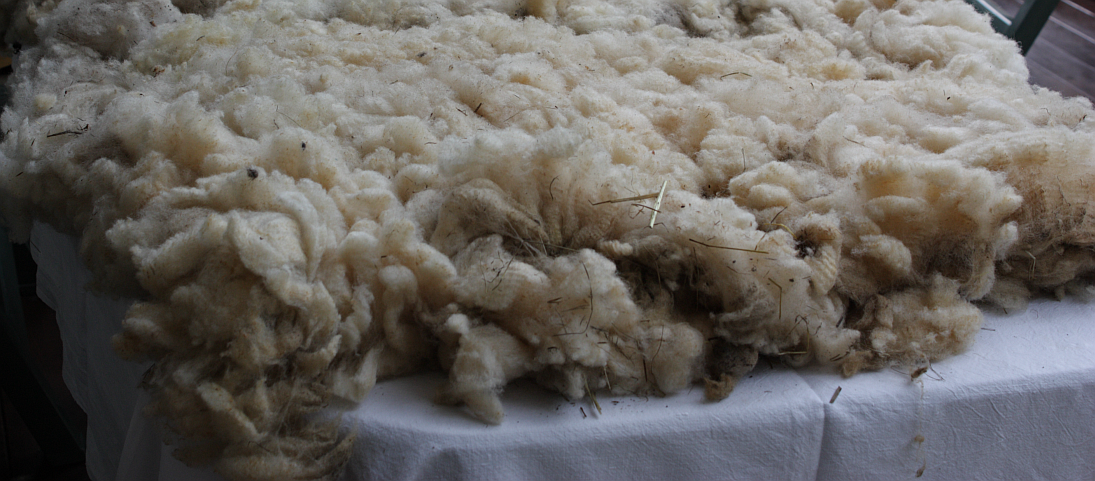 Wool, wet. And dry. - Blog