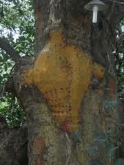 Vaiyam Katha Perumal Temple - For Unlimited money