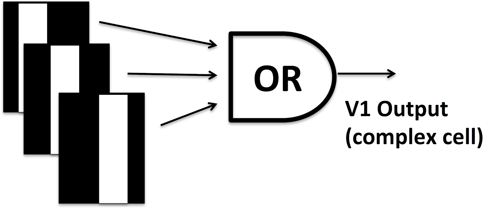 Logic gates, complex cells and perceptual constancy