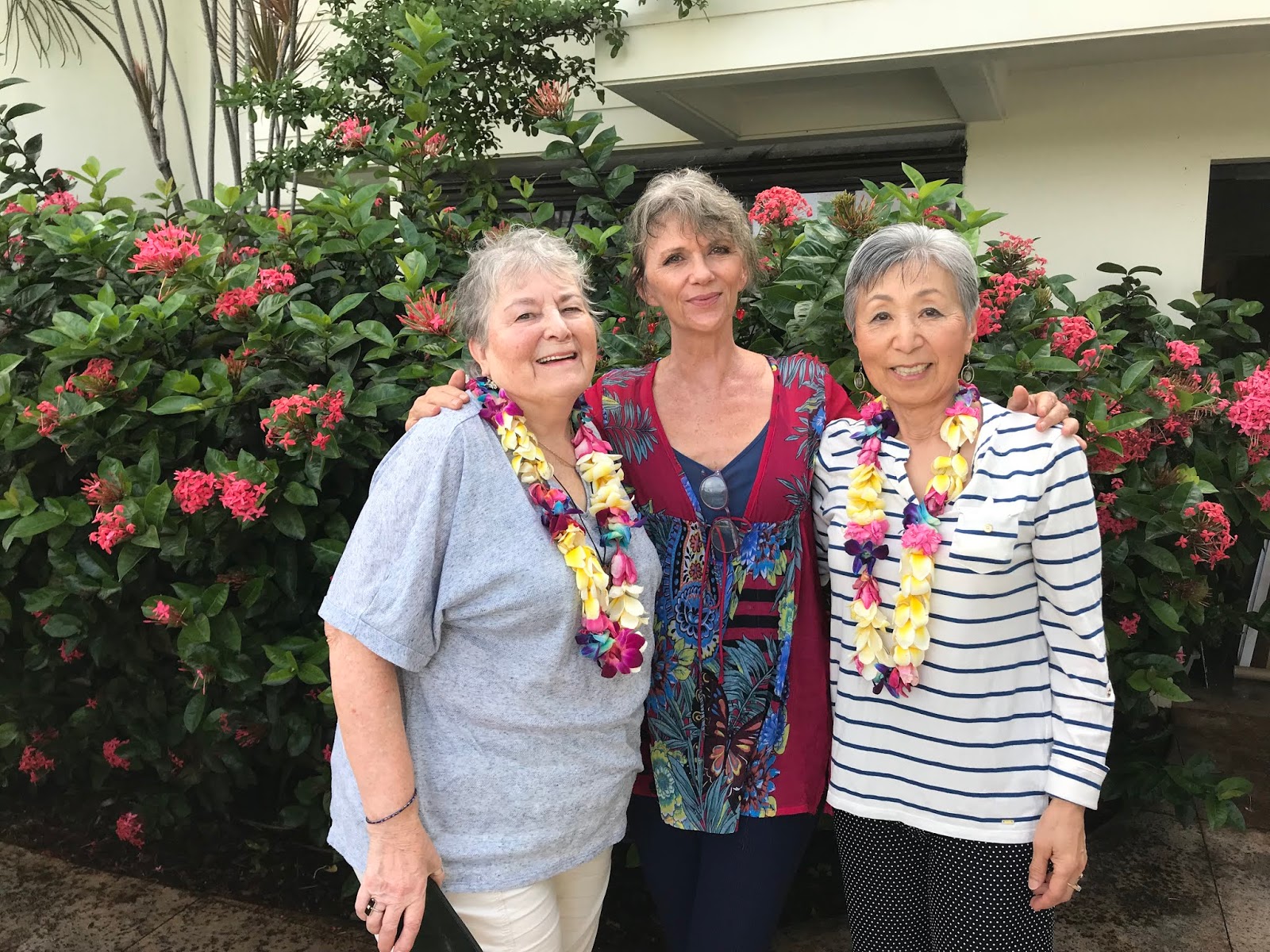 The World of Joyce Kamikura