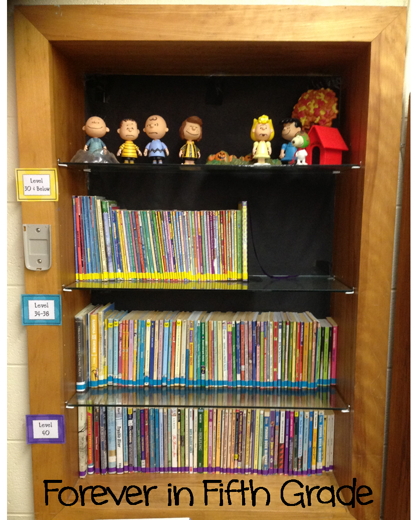 A Cozy Classroom Library | Forever in Fifth Grade