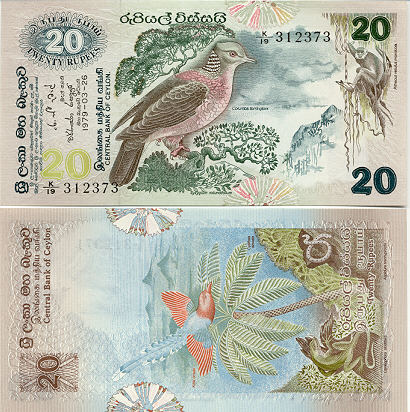 Illumination Of Sri Lanka: Sri Lankan Money Images