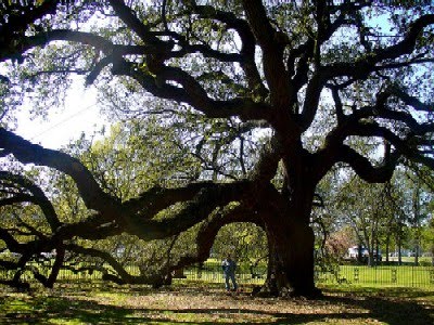 California Greening: May 1861: Hampton, Virginia, My Hometown