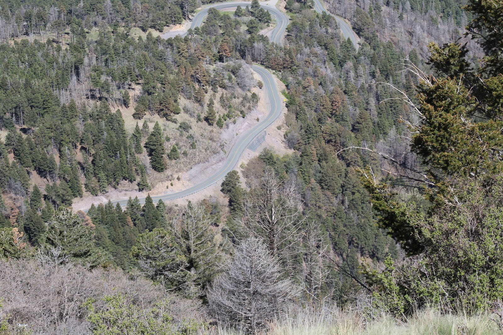 Restless Wilson's: Tall Mountains and the Real Rolling Turd