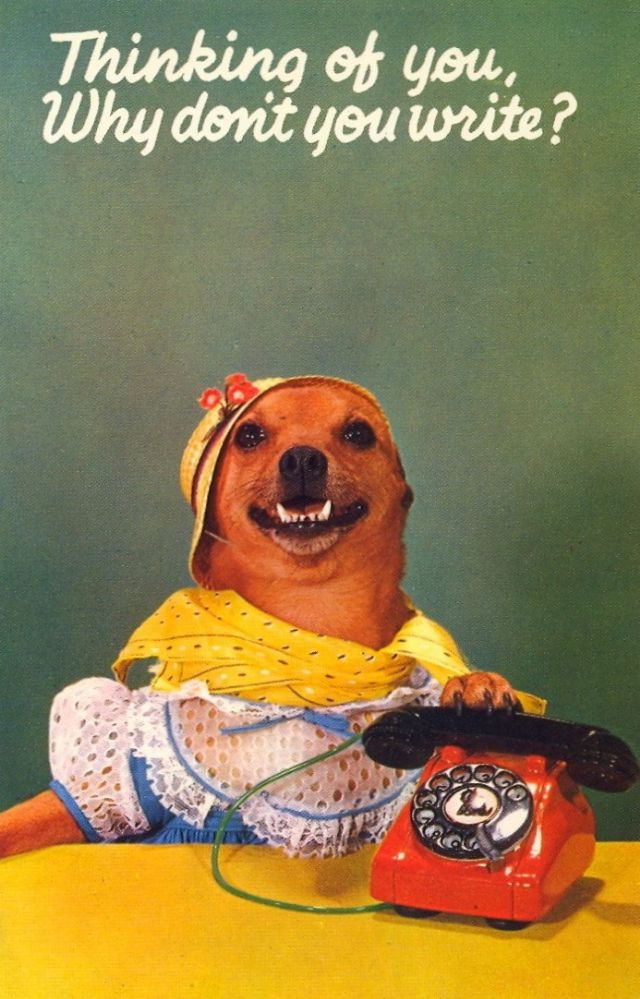 40 Hilariously Bad Vintage Postcards From Between the 1950s and 1970s ...