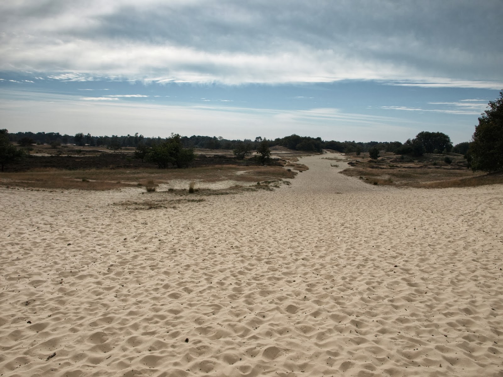 picture/day: Dutch desert!!