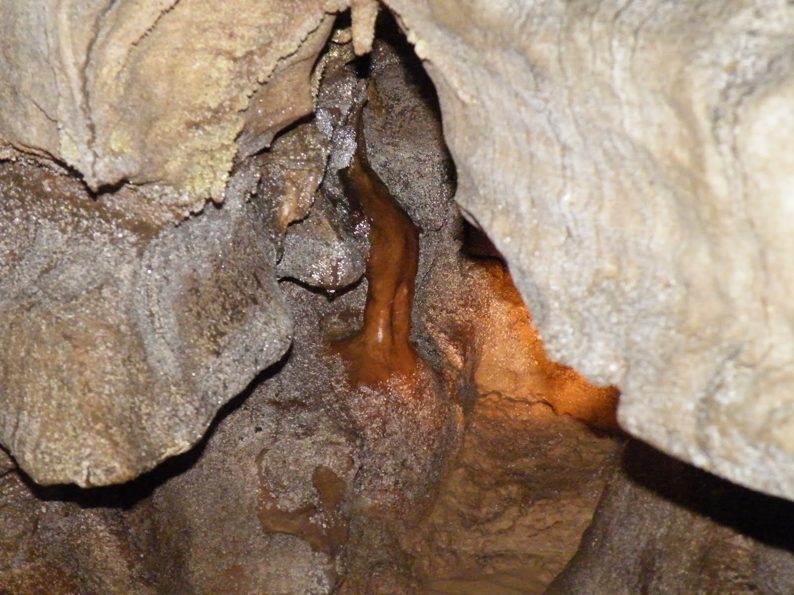 Kentucky Travels: Bell Witch Cave- Adams TN