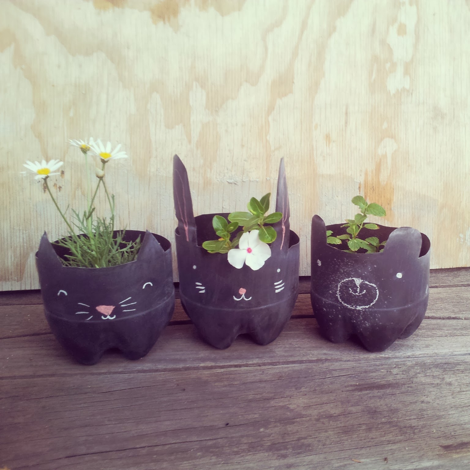 tea and craft: Cat, Rabbit, and Bear recycled planters