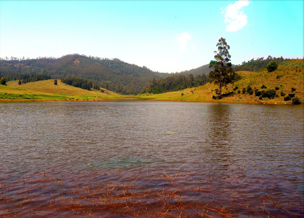 Tamilnadu Tourism: Mannavanur Lake, Mannavanur, Kodaikanal