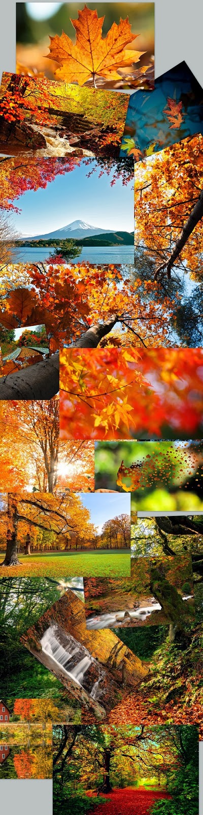 Autumn Theme For Windows 7 And 8 8.1 | Ouo Themes