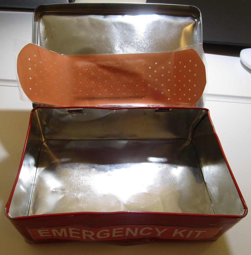 Webinário "Metáforas para coaches e treinadores inspirados" por ...