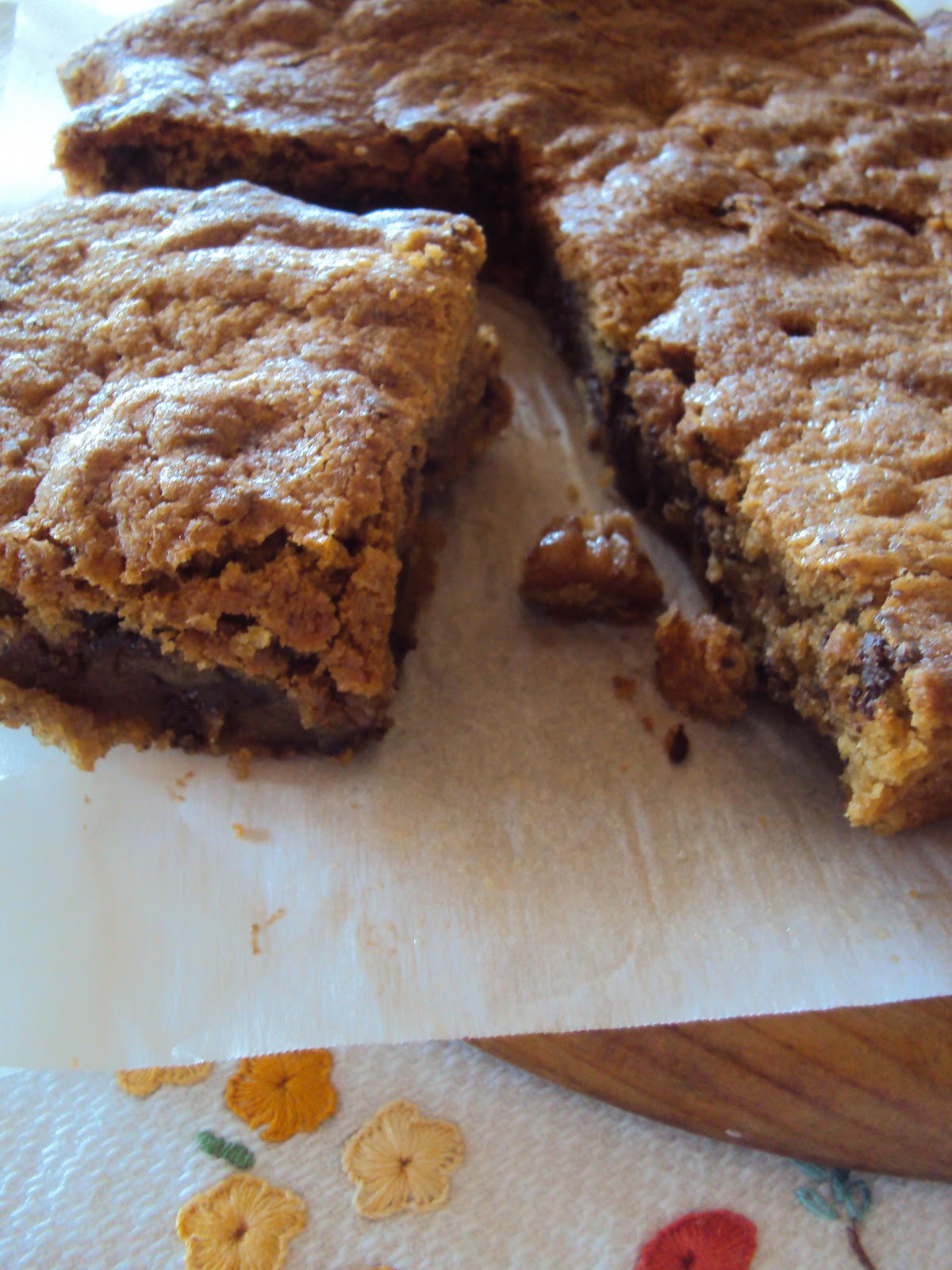 Dig In: choc walnut slice