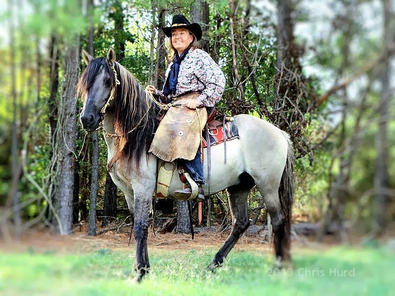 Mill Swamp Indian Horse Views: A Great Mustang/Colonial Spanish Horse ...