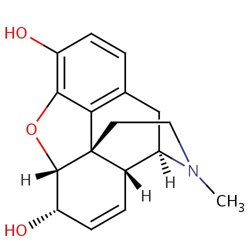 Pharmacology Of Morphine