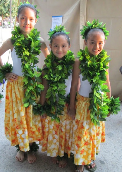 SOS Aloha Book Reviews and More: Aloha to Hawaii Five O - He Moho Hou ...