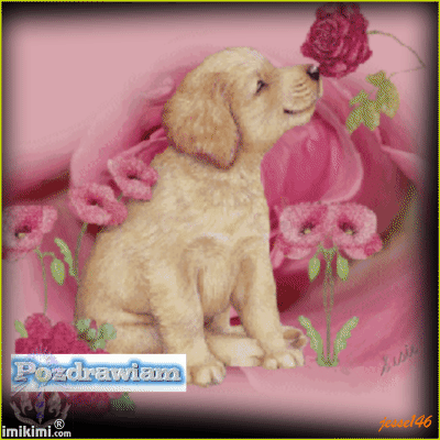 Dzień Dobry: Animowane gify i obrazki - pozdrowienia