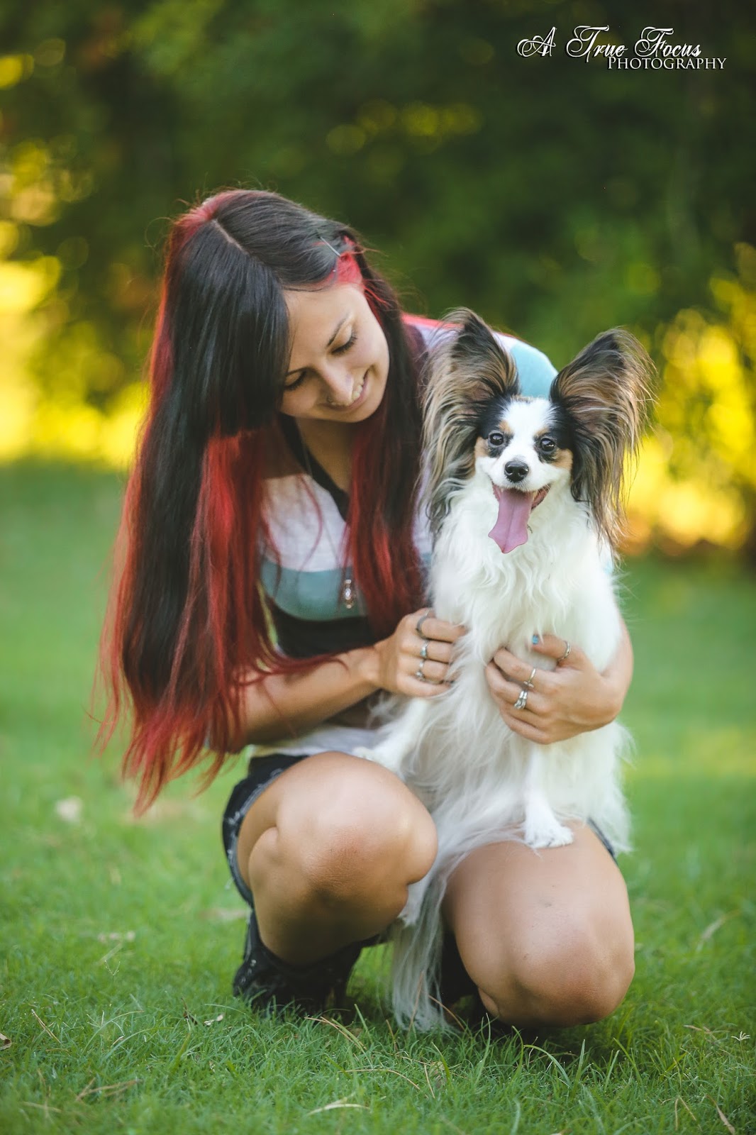 A True Focus Photography: Gypsy {dog and pet photography}