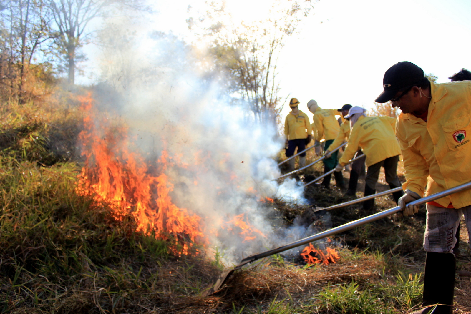 Curso de combate e prevenção de incêndios florestais