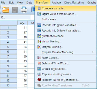 cara transformasi data SPSS