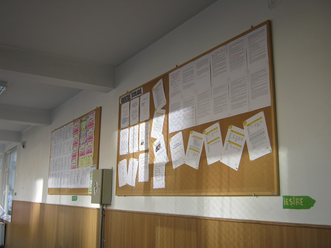 e Consiliere: Panou informativ OSP