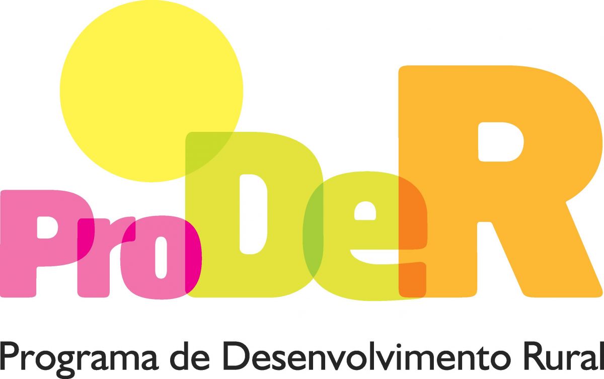 Empreendedores em Rede: QREN - Programas Operacionais do período 2007-2013