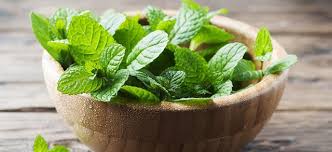 THE VIEW FROM FEZ: Fes Festival - Food Guide