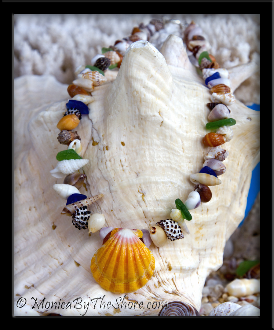 Monica's Blog: Sunrise Shell Necklaces ~ Beautiful Shells from Hawaii
