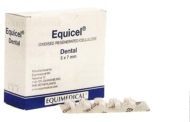 Recreativo prioriza união do grupo em reunião ~ Sport Club Recreativo