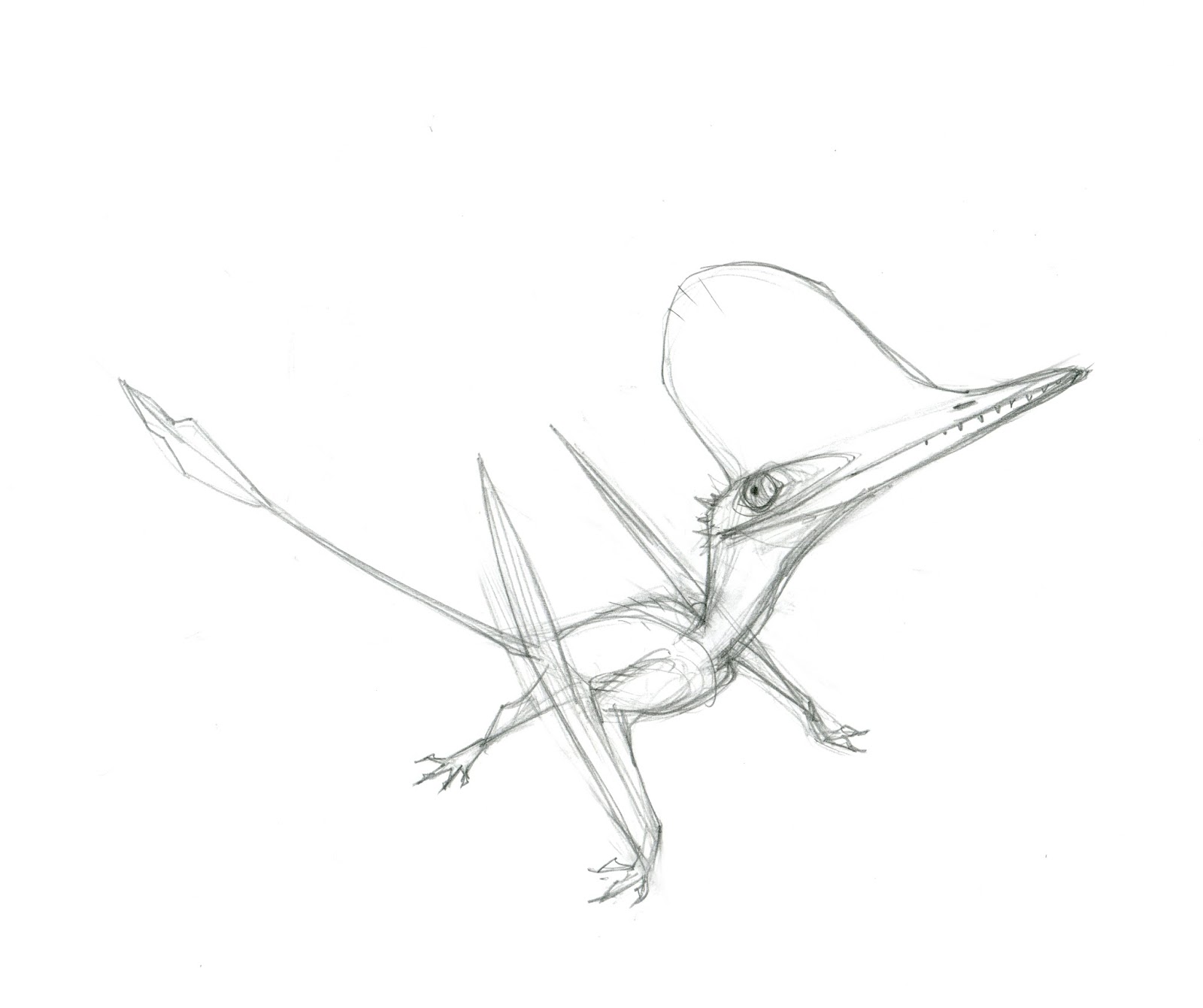 JOHAN EGERKRANS: HOW TO DRAW A WUKONGOPTERUS