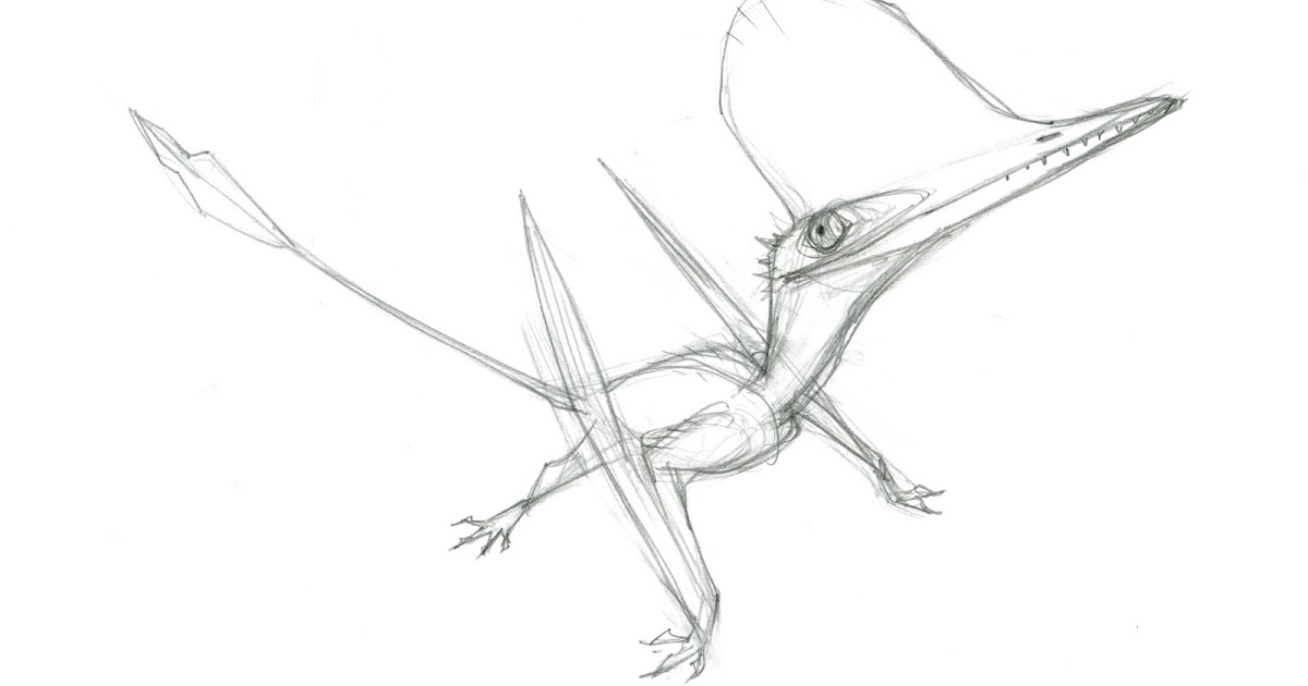 JOHAN EGERKRANS: HOW TO DRAW A WUKONGOPTERUS