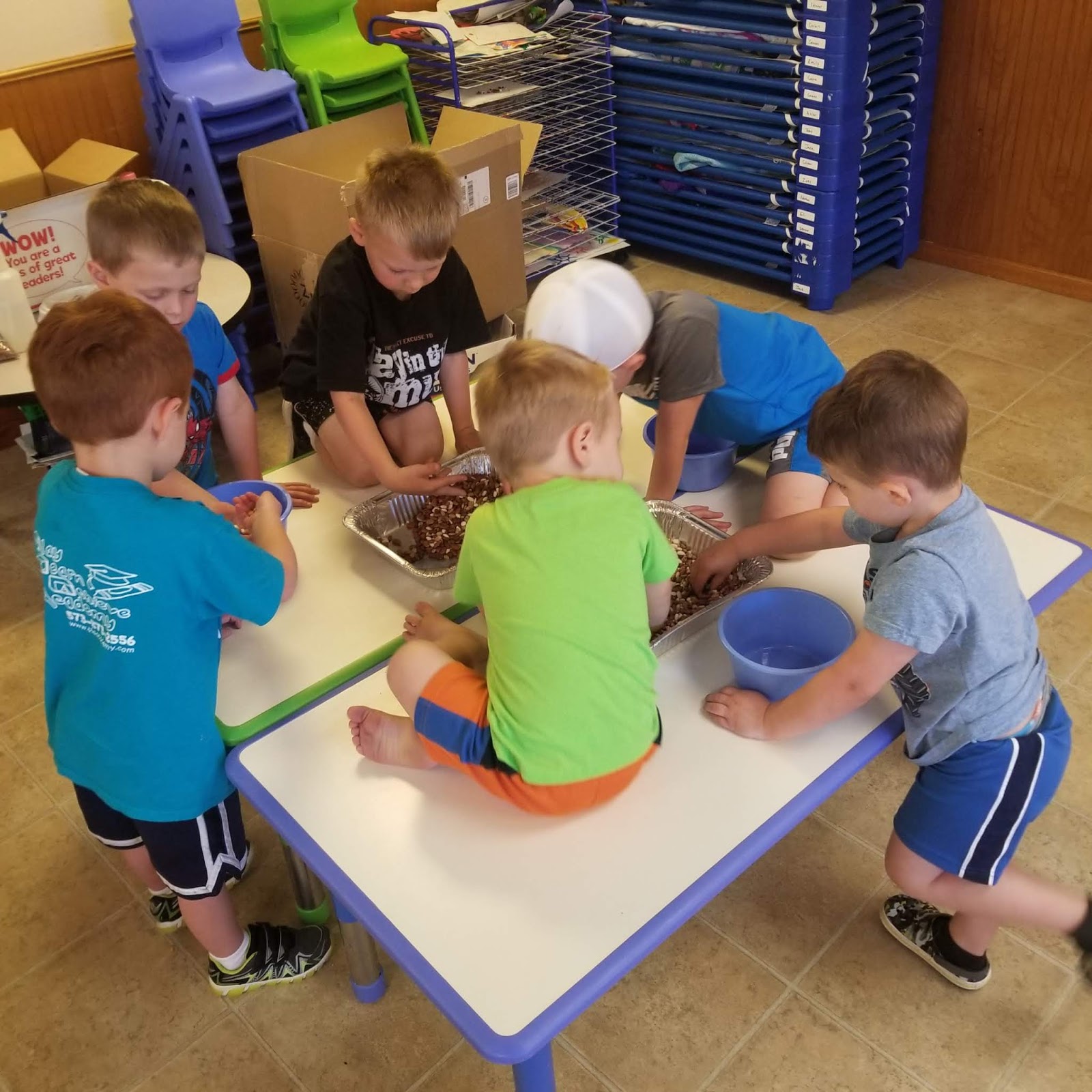 PLA Academy 2018-2019