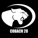 Cobach 28 Capacitación de informatica