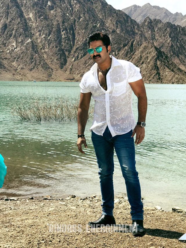 Pawan Singh: Movies, Photos, Videos, News & Biography